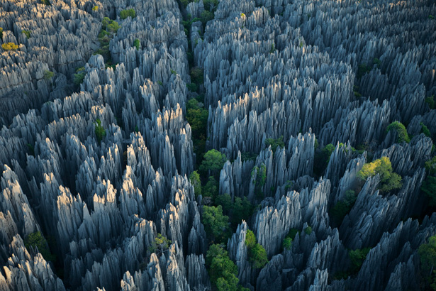 Tsingy Stone Forest, Madagascar photo on Sunsurfer