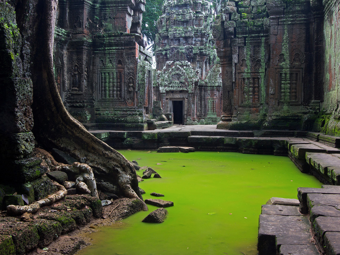 Ta Prohm Temple, Cambodia photo on Sunsurfer